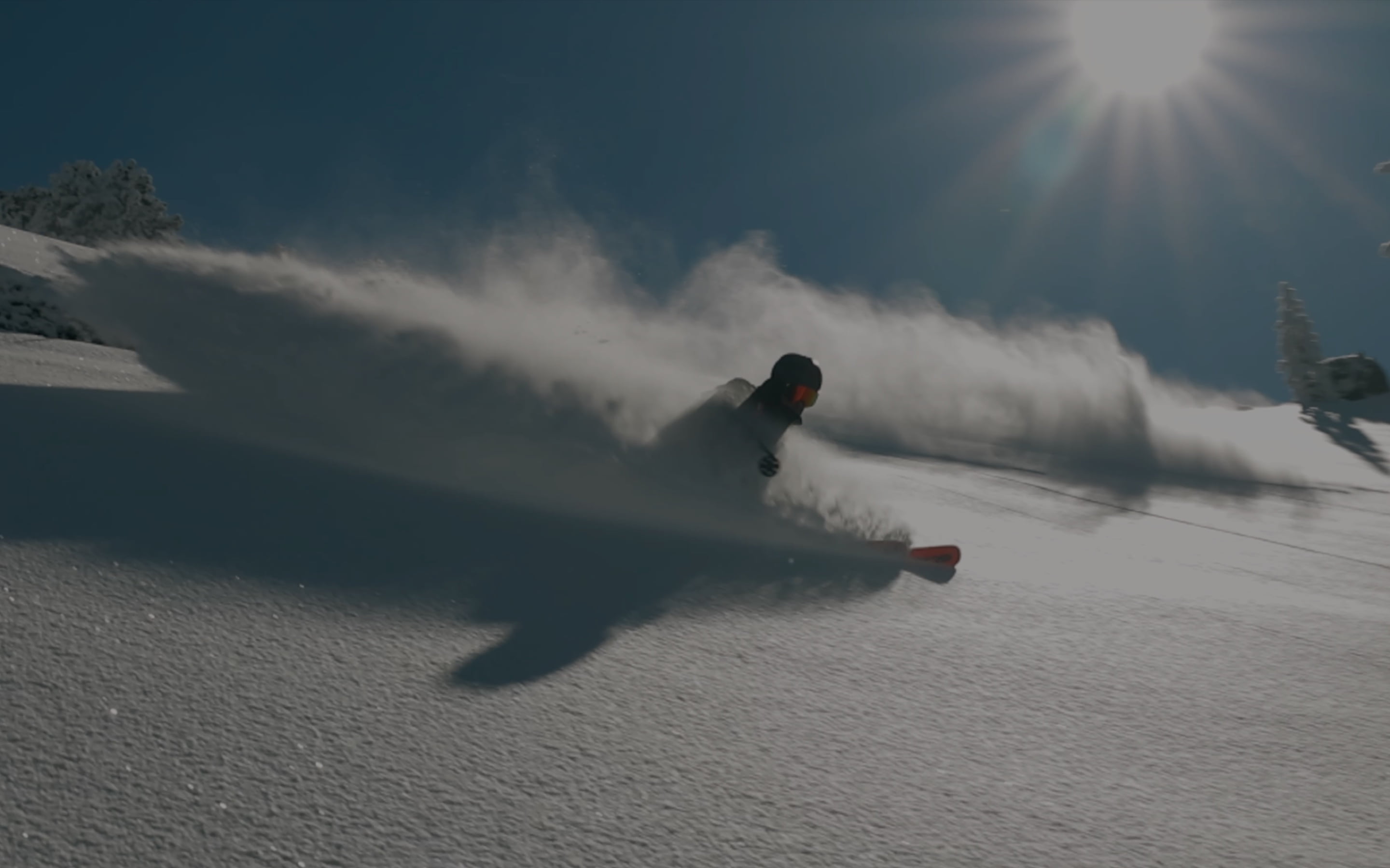 Sheeva | en | Blizzard-Tecnica USA